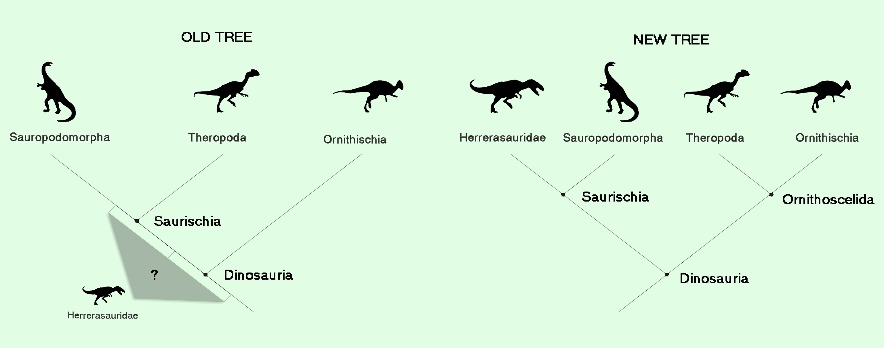 Thoughts on Ornithoscelida … over one year on … (part 1) – Matthew Baron