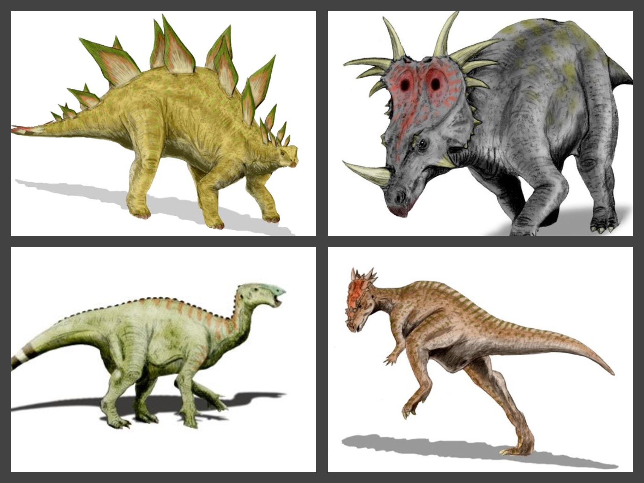 What I think about Ornithischia – Matthew Baron